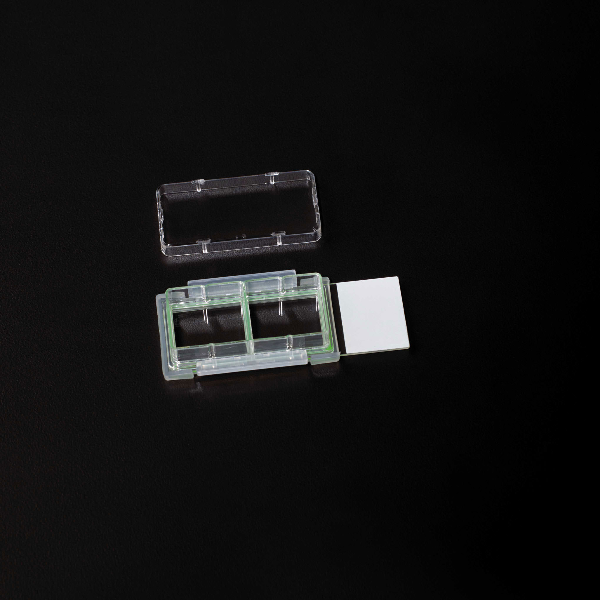 2 Chamber Cell Culture Slide, Glass, Sterile | Scientist.com