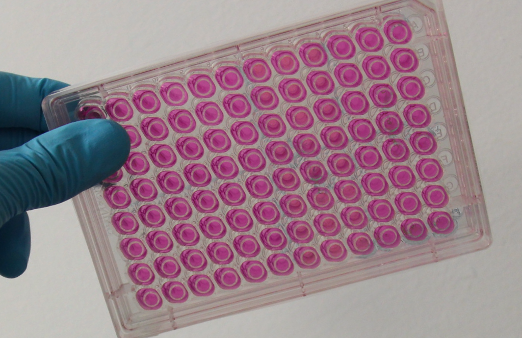 PreadyPort-CTRL (96 Transwell) | Scientist.com