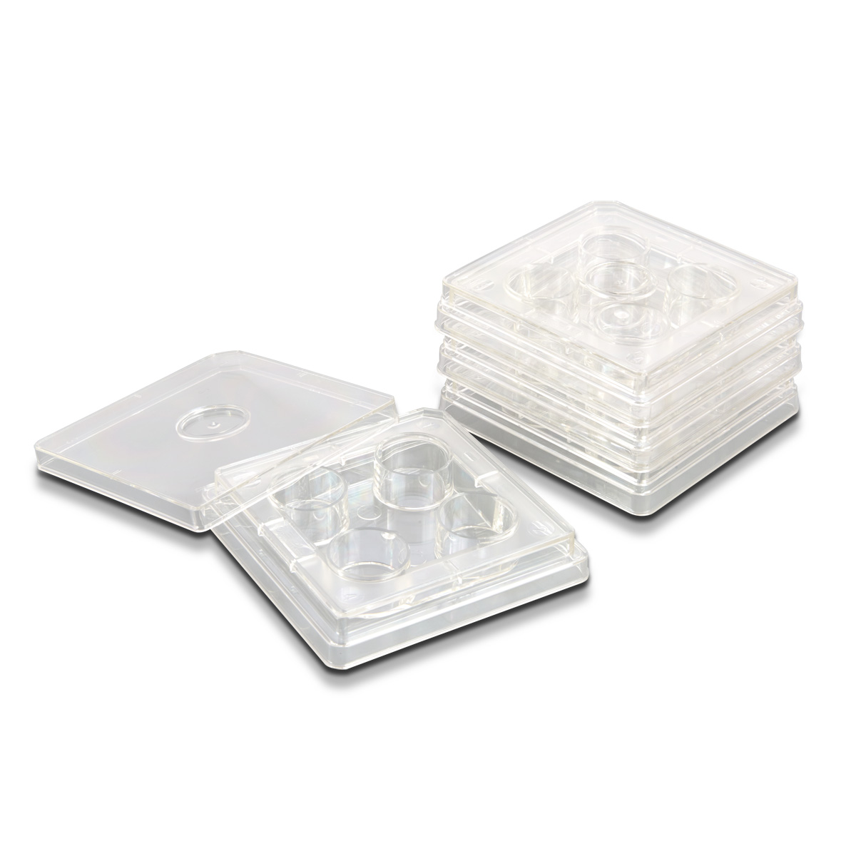 6 Well Cell Culture Plates (50/Cs) | Scientist.com