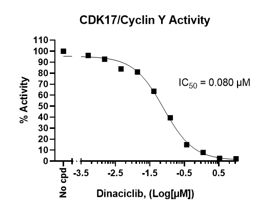 Chemi-Verse™ CDK17/Cyclin Y Kinase Assay Kit | Scientist.com