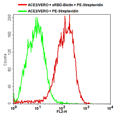 ACE2/VERO Stable Cell Line | Scientist.com