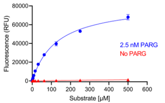 Fluorogenic PARG Substrate | Scientist.com