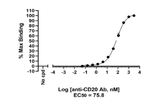 CD20, FLAG-Tag Recombinant | Scientist.com