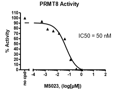 PRMT8 Homogeneous Assay Kit | Scientist.com