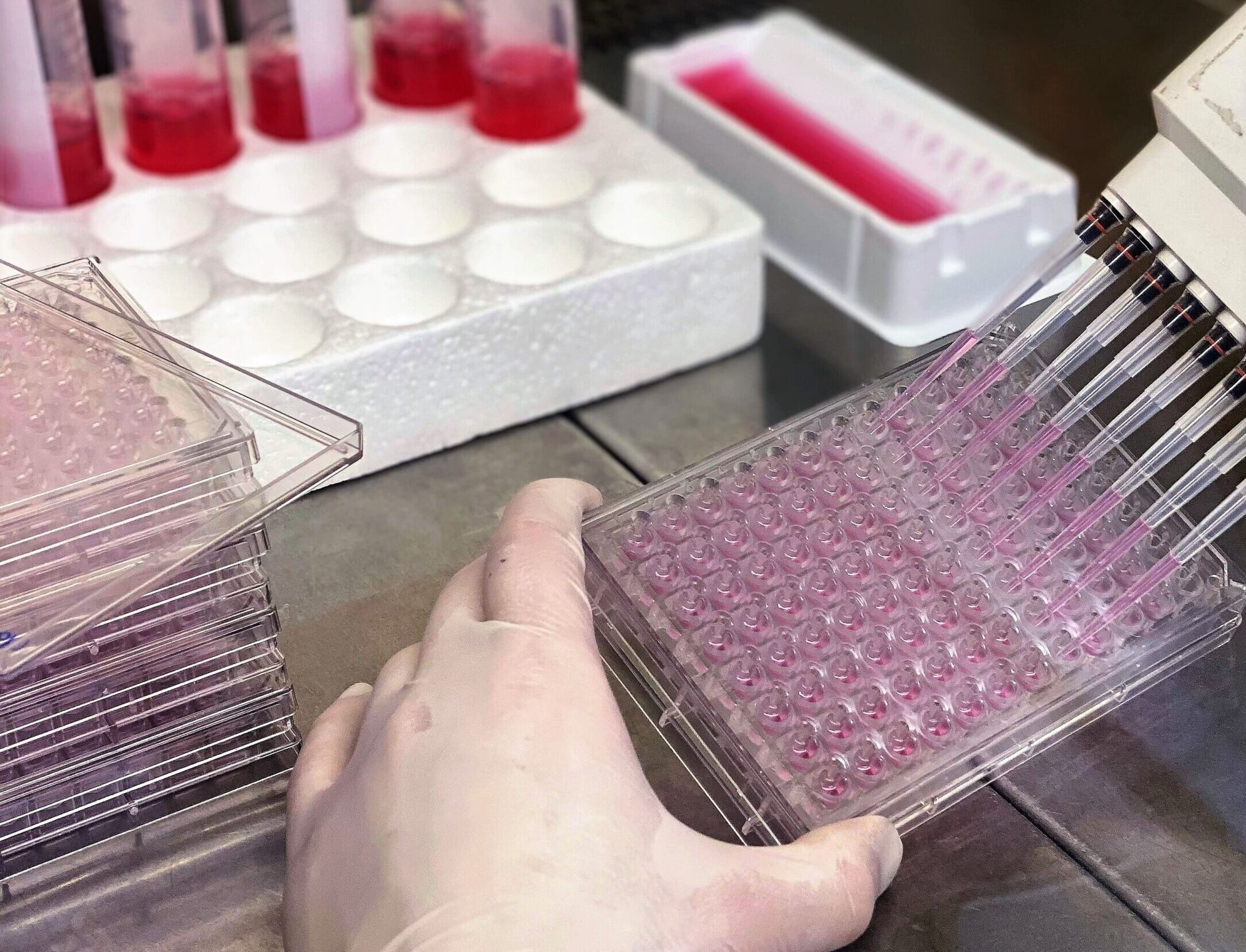 PreadyPort-CTRL (96 Transwell) | Scientist.com